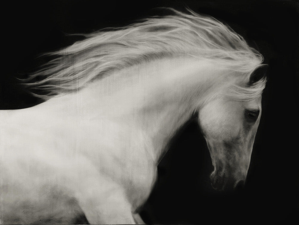 Kenneth Peloke | Altamira Fine Art